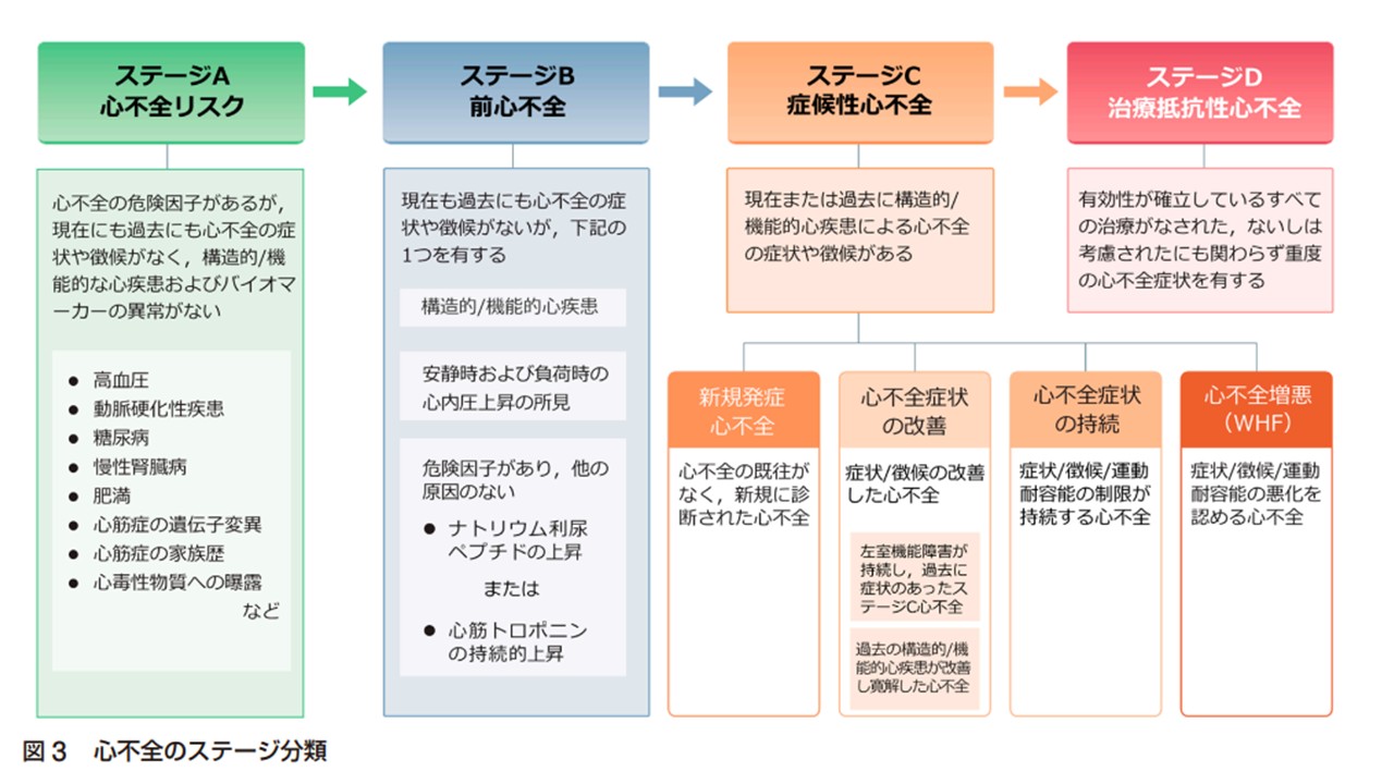 心不全ステージ分類：心不全診療ガイドラインが改訂されました。 - こうの内科・循環器内科ブログ