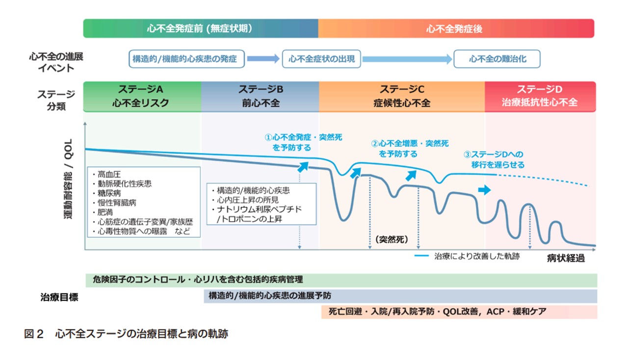 心不全ステージ分類：心不全診療ガイドラインが改訂されました。 - こうの内科・循環器内科ブログ